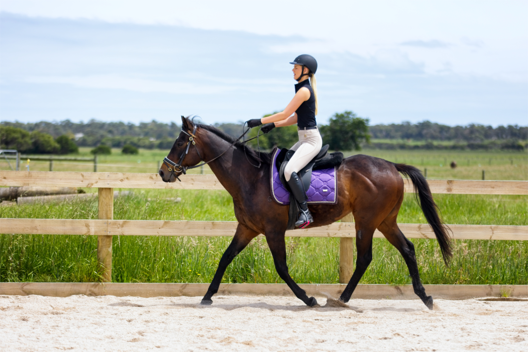 Riding Club - Waterline Riding Academy